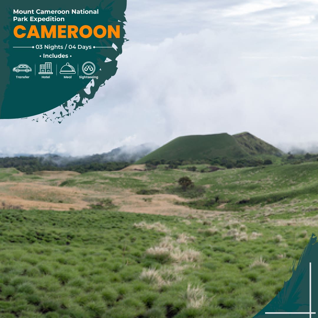 Cameroon Offers