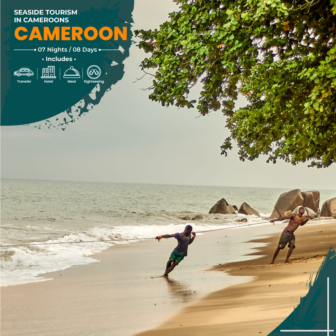 Cameroon Offers