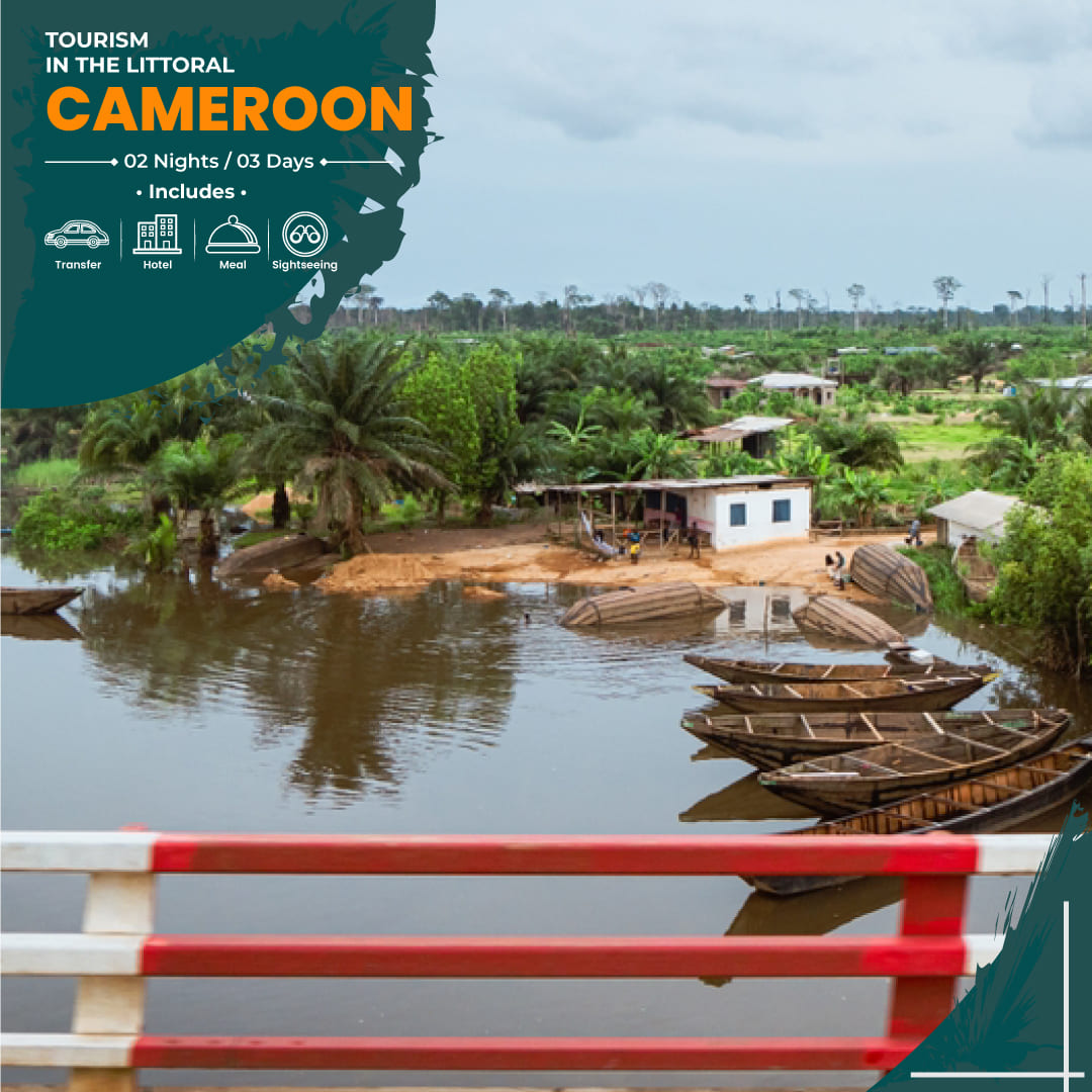 Cameroon Offers