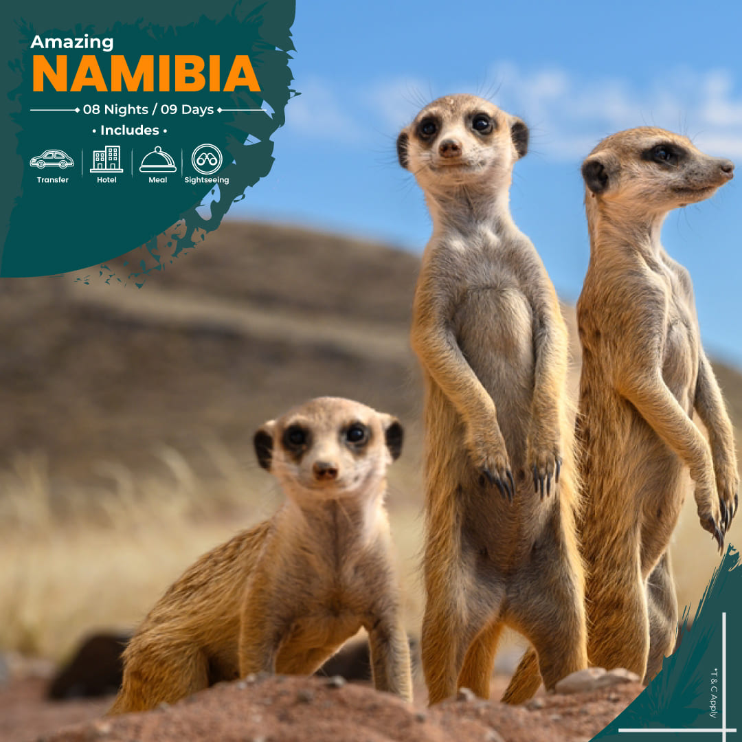 Namibia Offers